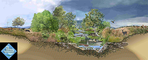 Logo-graphics.png – Texas Riparian Association