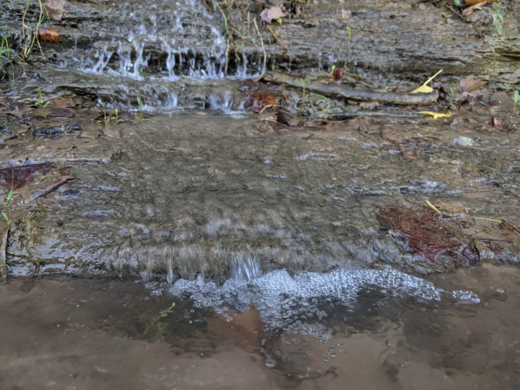 Texas Riparian & Stream Ecosystem Workshop – Paluxy River Watershed ...